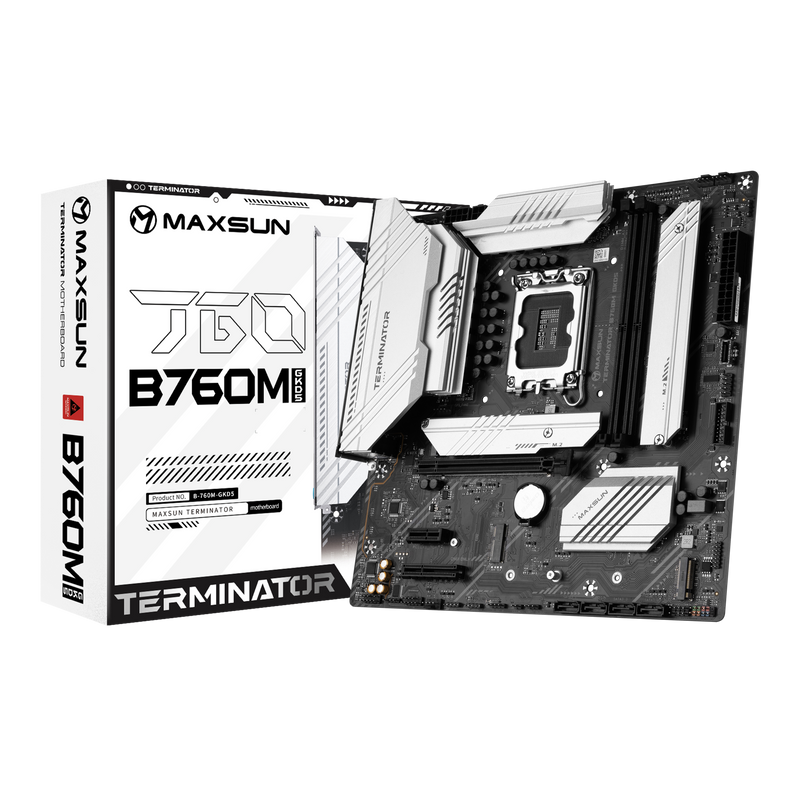 MS-Terminator B760M GKD5