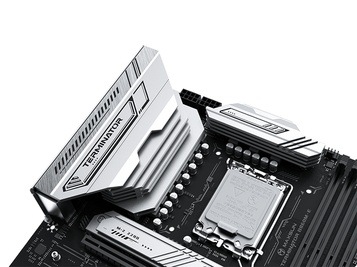MS-Terminator B860M-E