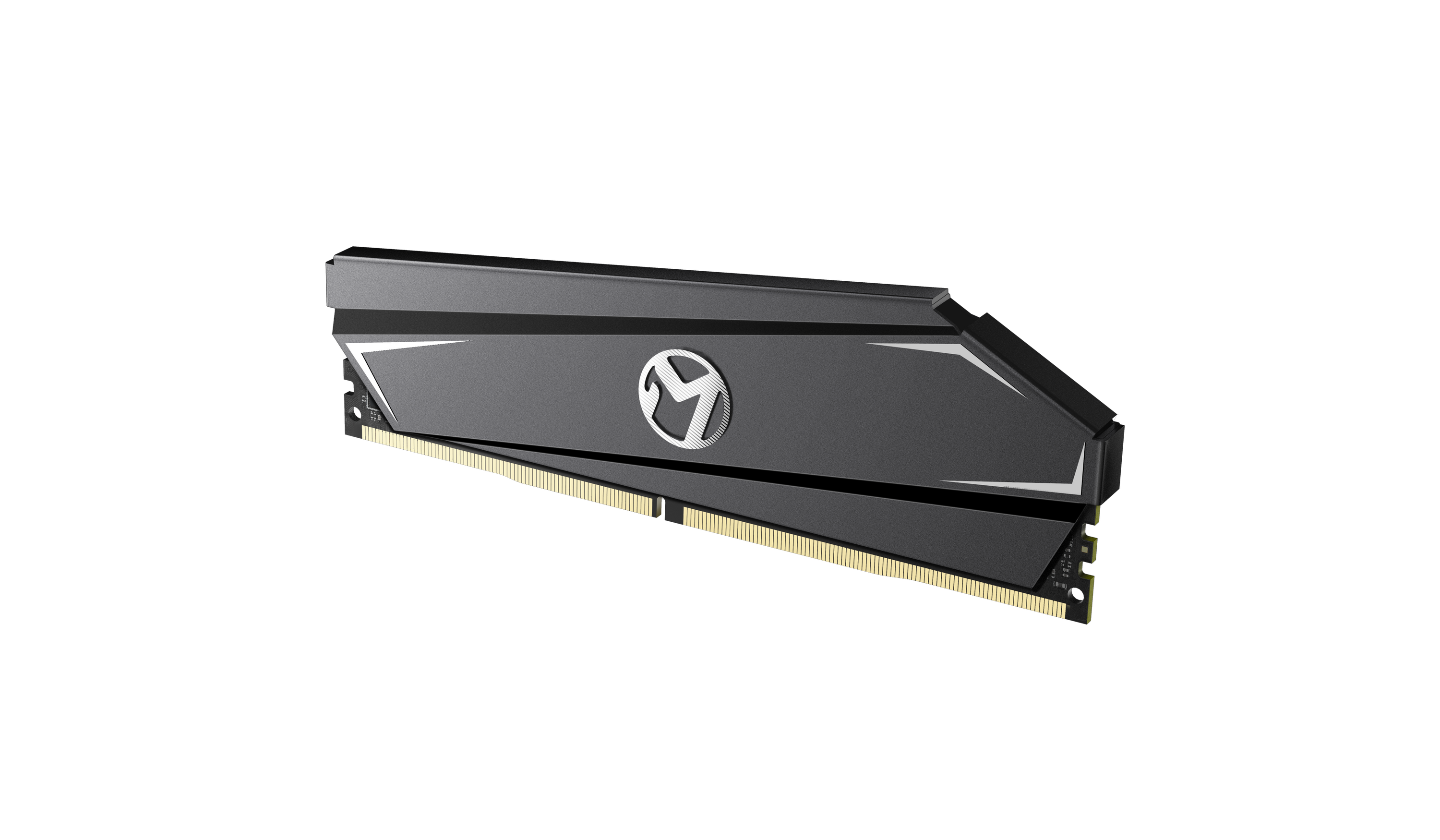 MS-Terminator DDR4 Memory Q3